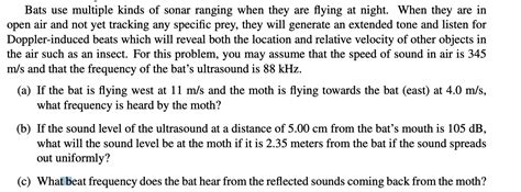 Solved Bats Use Multiple Kinds Of Sonar Ranging When They