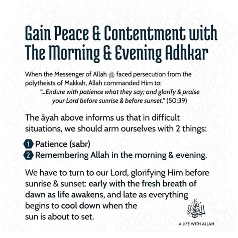 Important Shield Rislam