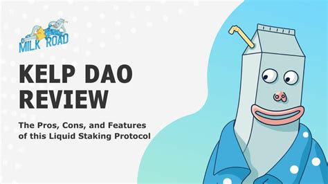 Kelp Dao Review 2025 Fees Pros Cons And Safety
