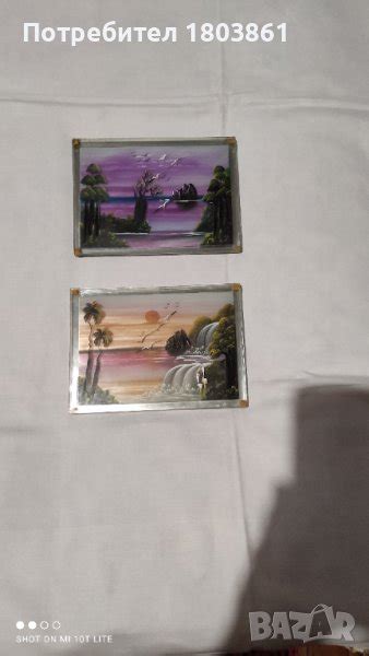 2 бр стъклени много красиви рисувани картини трислойни в Картини в гр Луковит Id38025714