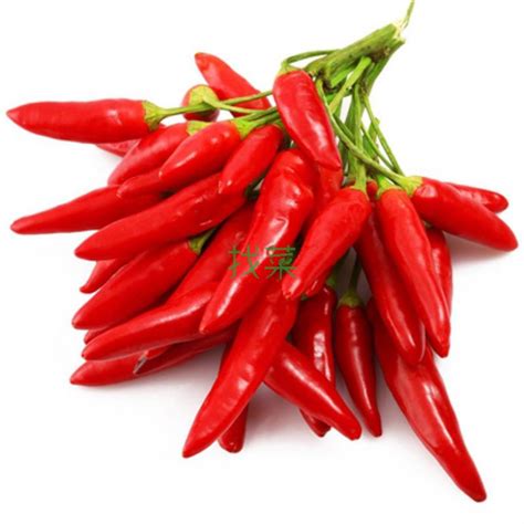 小米椒 椒类 蔬菜豆菇 找菜网一站式生鲜食材配送平台