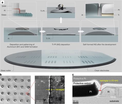Fabrication Of Self Forming Nanogap Electrodes A Schematic