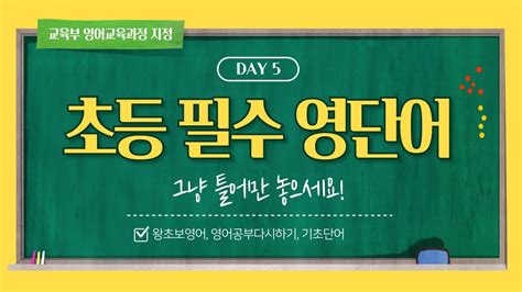 초등학교 필수 영어 단어 Day 5 초급 영어 회화 및 어휘 학습 40대 50대 추천 Youtube