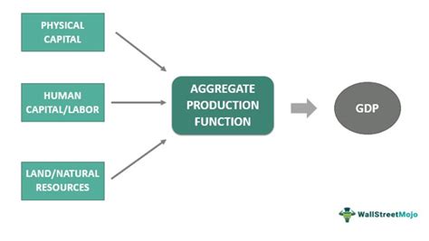 Aggregate Production Function Meaning Factors Formula Graph