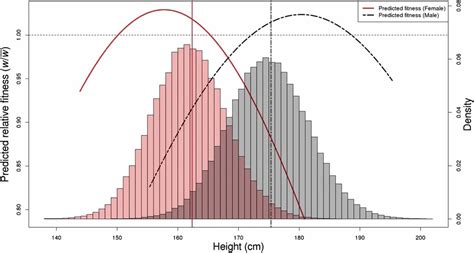 Stabilizing Selection