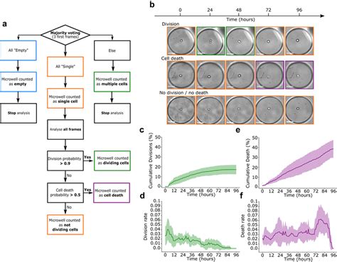 Dynamic Analysis With Our Dlba A Downstream Of The Cnn A Decision