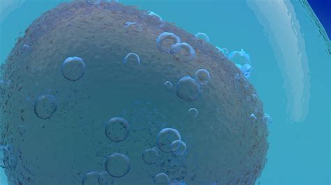 3d Ivf Cell Turbosquid 1492092