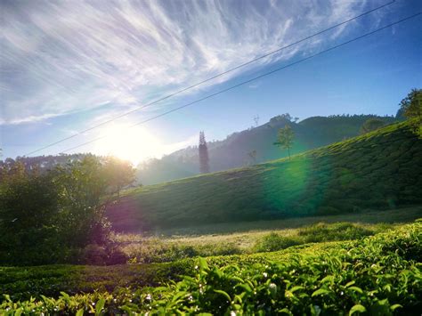Munnar Now Toulouse