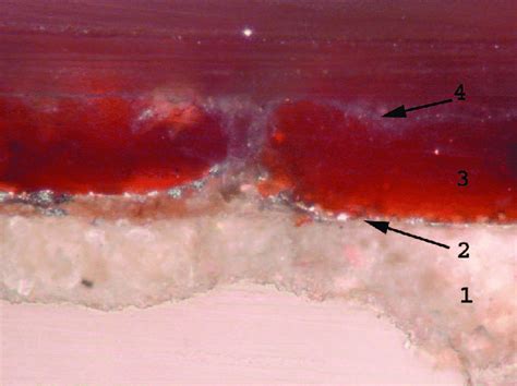 Stratigraphic Section Of The Sample Download Scientific Diagram