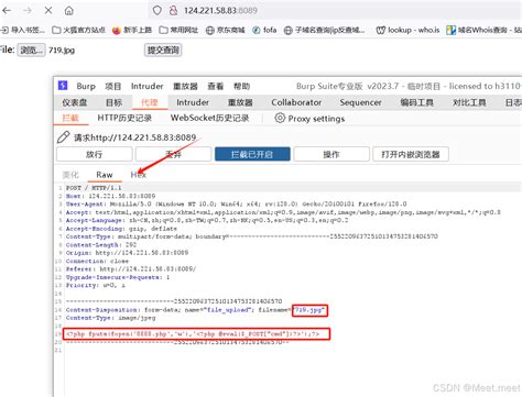 文件解析漏洞总结(iis,nginx,apache)iis解析漏洞 Csdn博客 文件解析漏洞总结(iis,nginx,apache)iis解析漏洞 Csdn博客
