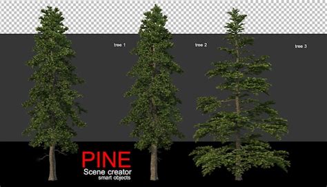 premium psd pine trees of various sizes
