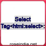 Select Tag