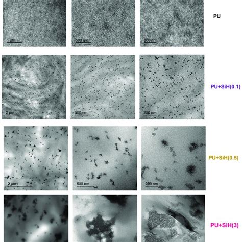 Particle Size Distributions Of The Waterborne Polyurethane Dispersions Download Scientific
