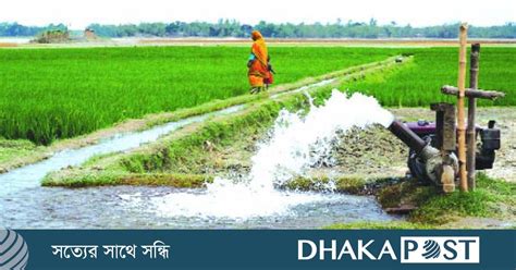 সেচ পাম্পে বিদ্যুৎ সংযোগ দিতে গিয়ে প্রাণ গেল কৃষকের