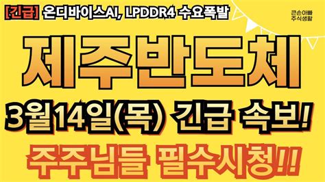 제주반도체 주가 전망 3월14일목 긴급 속보 주주님들 필수시청 Youtube