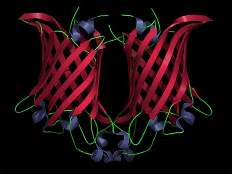 Pymol 3d Molecular Visulaisation Software Biochemistry And Molecular Biology Science Forums