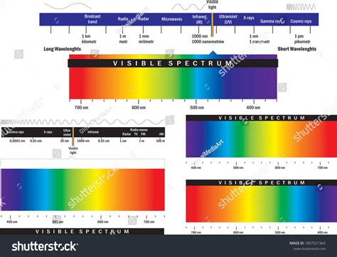 Visible Light Diagram Color Electromagnetic Spectrum Stock Vector