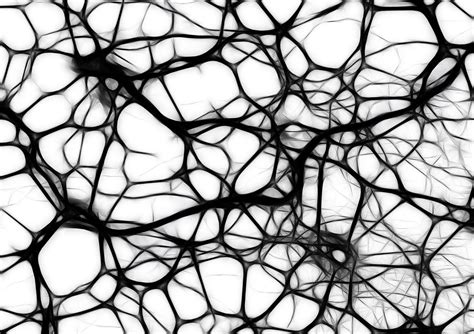 Deep Learning Creación De Una Red Neuronal Desde Cero 13 By
