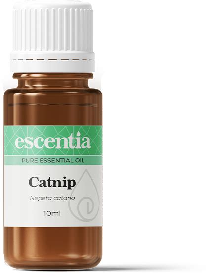 Catnip Essential Oil 10ml Escentia Products