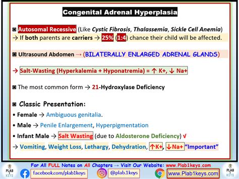 Plab 1 Keys √ You Can Access All Notes And Summaries For