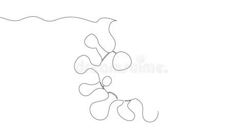 Self Drawing Line Animation Abstract Virus Strain Model Continuous Line Drawn Concept Video