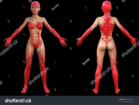 3d Rendering Sexy Woman Splash Liquid ภาพประกอบสตอก 1224450184 Shutterstock