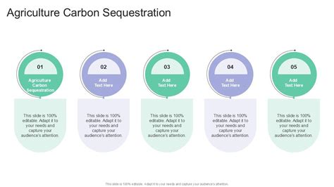 Agriculture Carbon Sequestration Ppt Example Cpp Ppt Example