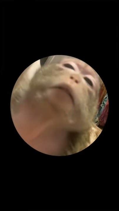 как дела нормал ну пон Youtube