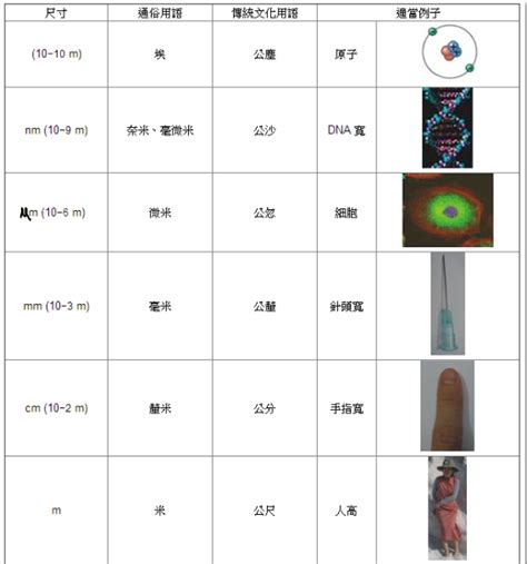 長度單位 biology with katherine chen