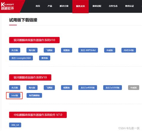 银河麒麟系统部署net Core环境dotnet 发布到麒麟系统 Csdn博客