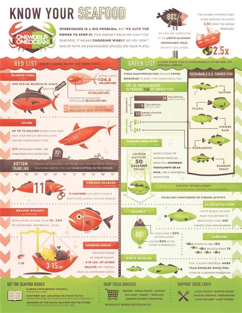 Know Your Seafood Know Your Seafood My Hero