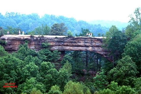 What To Do Red River Gorge River Natural Bridge
