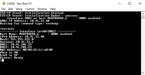 114 Tcpip Udp Client