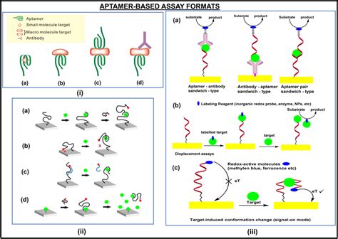 Aptamer Based Assay Formats I A Small Molecule Target Buried Within Download Scientific