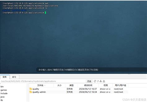 Linux 搭建金蝶中间件aas V9 保姆级金蝶apusic中间件部署 Csdn博客