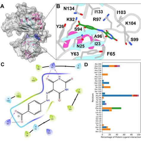 A Compound Stk018404 In The Hur Rrm1 2 Transient Binding Cleft With Download Scientific