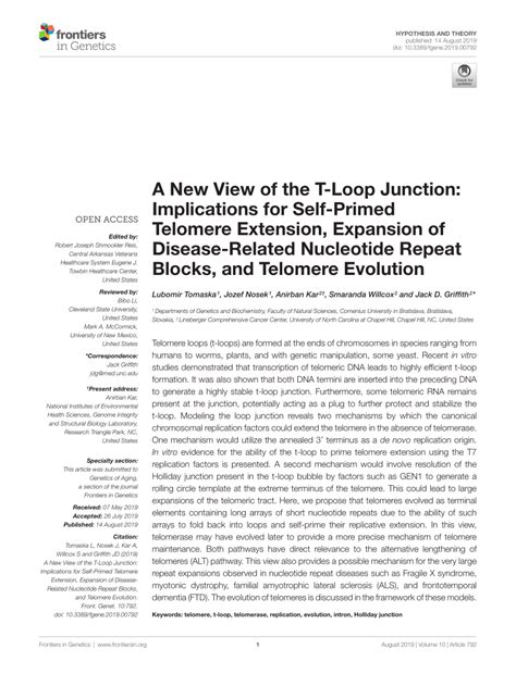 Pdf A New View Of The T Loop Junction Implications For Self Primed
