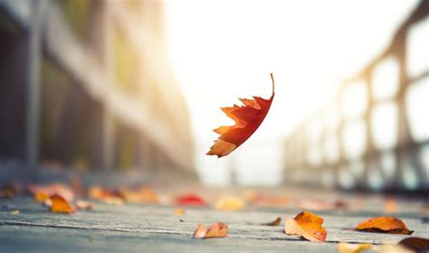 Java EE企业级应用开发