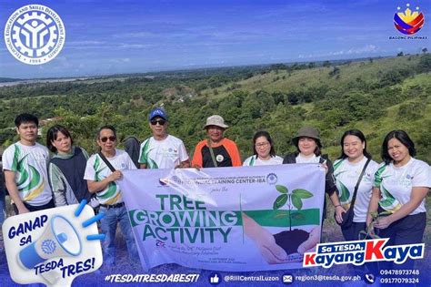 Tree Growing Activity