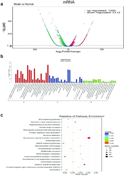 Transcriptome Sequencing Screening The Differentially Expressed Mrna In Download Scientific