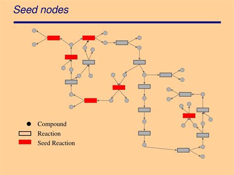 Ppt Metabolic Pathway Analysis Powerpoint Presentation Free Download Id4266114