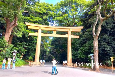 What To See In Meiji Jingu Shrine In Tokyo I Share