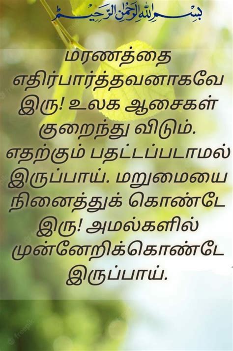 Pin By Seeni Gani On Seeni Photo Album Quote Quotes Photo Album