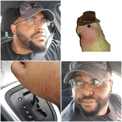 Day 149 Of Gonb Rgonblore