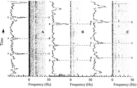 Sosus Data From Three Different Hydrophone Arrays Cross Correlated With Download Scientific