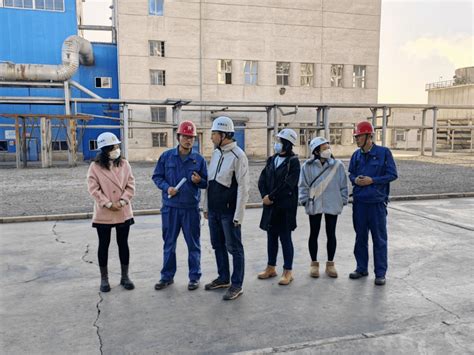 “三抓三促”行动进行时丨省绿色环保产业链调研组赴嘉峪关市调研 发展 甘肃 相关
