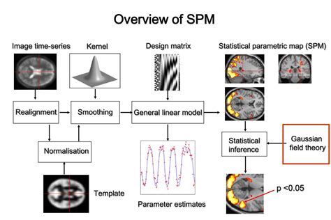 Ppt Multiple Comparison Correction Powerpoint Presentation Free