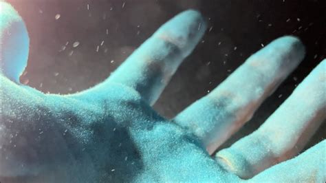 Flocking Compilation Vol 1 Youtube Flocking Compilation Vol 1 Youtube