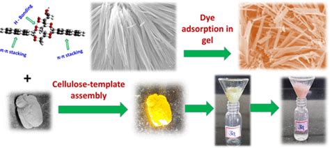 Acs Omega Acs Publications