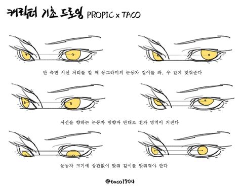 Anatomy Sketches Anatomy Drawing Anatomy Art Eye Drawing Drawing